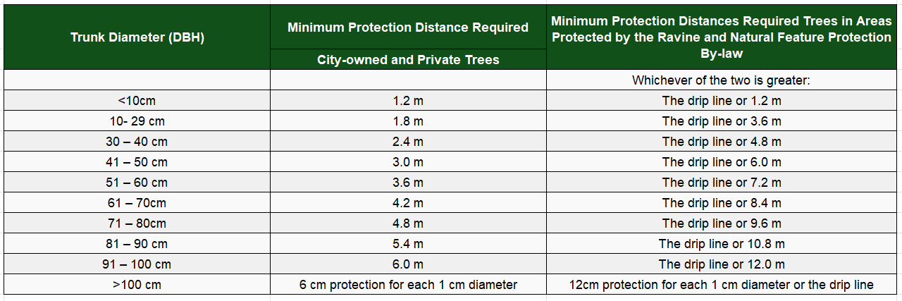 Tree Protection Guide for Toronto Construction (2025)